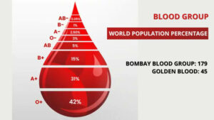 Golden Blood Group: Everything About This Rarest Blood Group In The ...