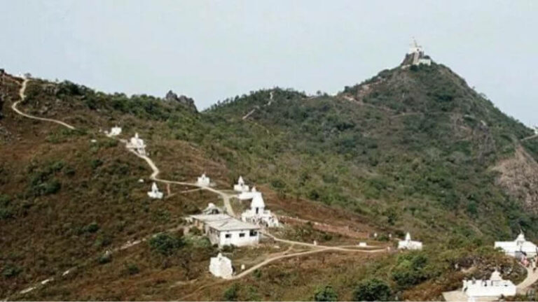 Jains Protest Due To The Sammed Shikharji Temple Row, Respect Our Religion