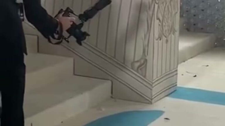 Cockroach Spotted On Met Gala Red Carpet; Video Goes Viral