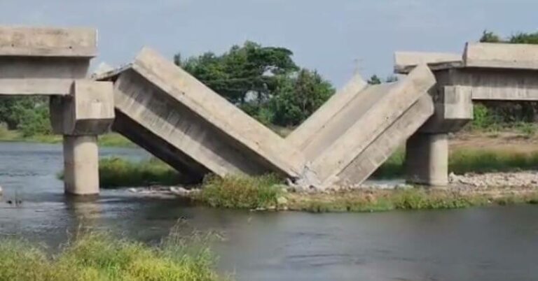 Gujarat: Bridge Over Mindhola River In Tapi Collapses Before Inauguration; Check Out Images And ...