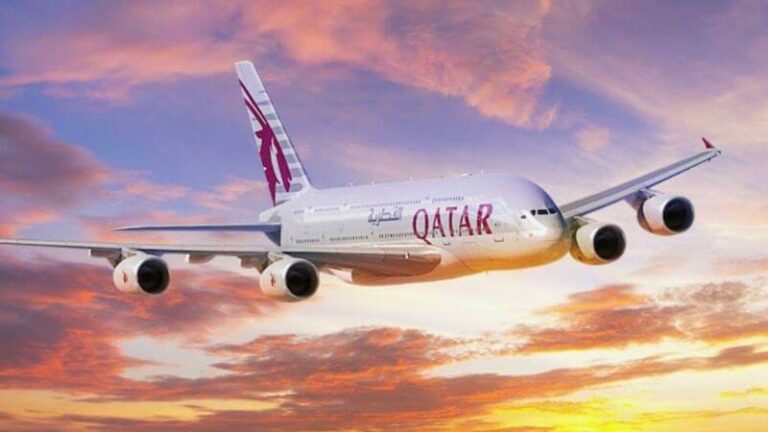 Qatar Airways Faces Lawsuit After Vegetarian Passenger Chokes To Death ...