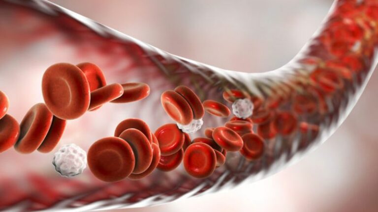 These Foods And Habits Improve Blood Cell Count