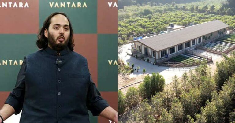 Everything About Anant Ambani's Vantara: Over 2000 Rescued Animals ...