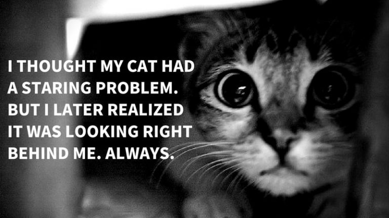 These Scary Two Line Horror Stories Which Will Haunt You