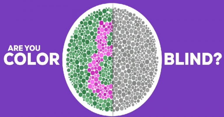 Do You Have A Perfect Color Vision? Take This Simple Test To Know