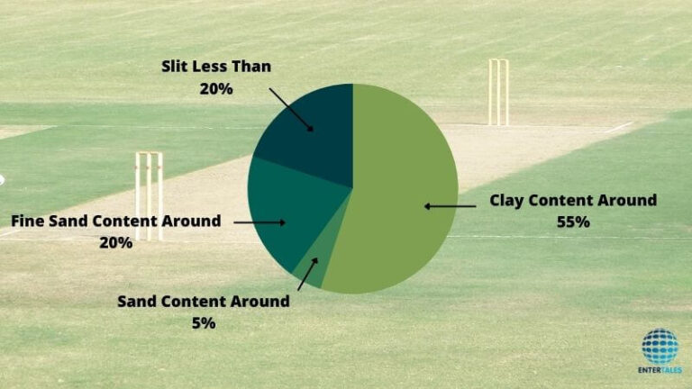 Everything You Need To Know About Cricket Pitches: Type, Preparation ...