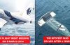 MH370 Mystery Has Been Explained By Aviation Experts, This Is Actually ...
