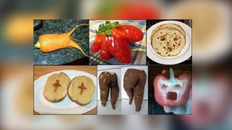 These Are The World's Weirdest Museums - No. 4 Is Hilariously And Creepy