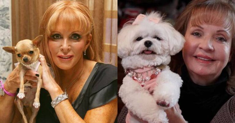 These Are The 11 Richest Pets In The World; They Are More Than Millionaires