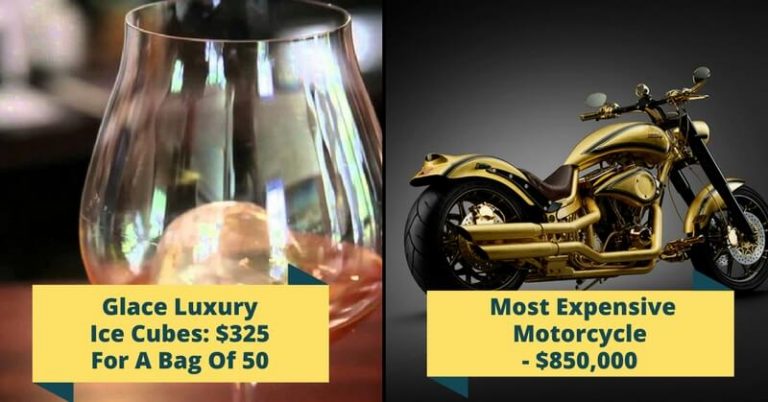 17 Useless Things Only Super Rich Buy Which Are Ridiculously Expensive