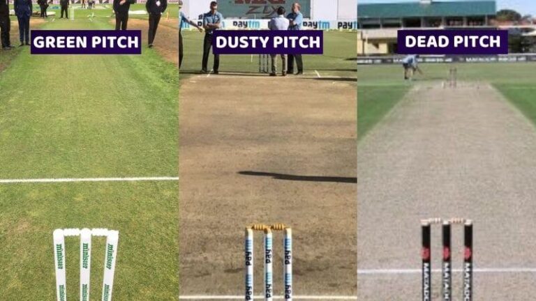 Everything You Need To Know About Cricket Pitches: Type, Preparation ...