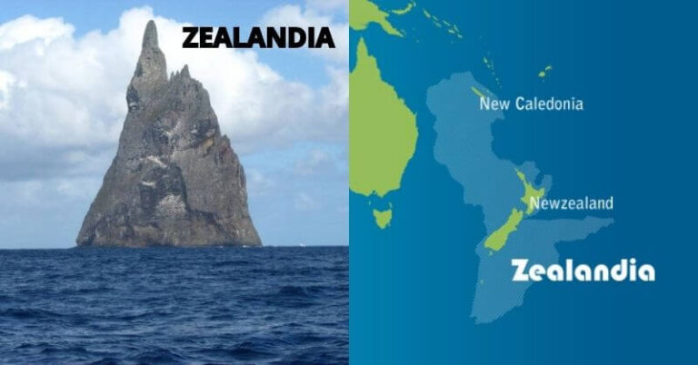 Everything About Zealandia, The Earth's Lost 8th Continent