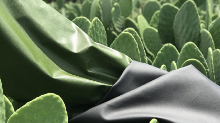 Cactus Leather, A New Eco-Friendly Fabric; Will Save 1 Billion Animals ...