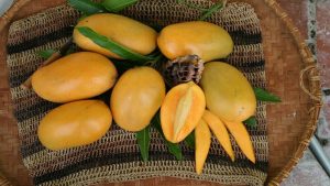 Varieties Of Delicious Mangoes In India That You Should Try