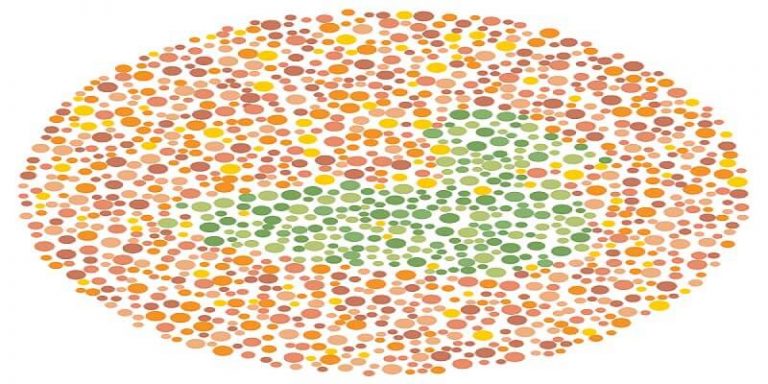 Do You Have A Perfect Color Vision? Take This Simple Test To Know