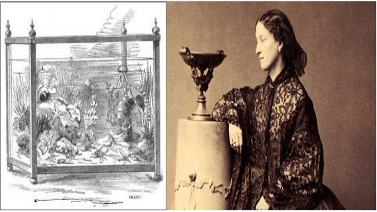 Amazing Things Invented By Women Scientists That Improve Our Life