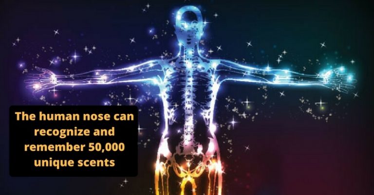 8 Superpowers Of Human Body That Make You Feel Like A Super Human